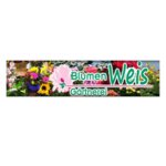 Blumen Weis (Am Dreifaltigkeitsberg No:22, Regensburg), çiçek teslimatı  Regensburg'dan