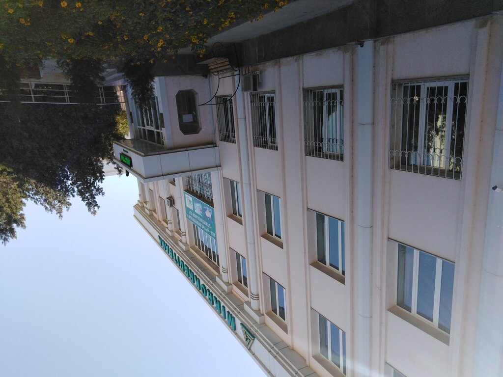 Banka Microcreditbank Jscb Khorezm Branch, Ürgenç, foto
