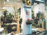 Il Punto del Fiore (Piedmont, Torino, Corso Peschiera, 252), çiçek teslimatı  Torino'dan