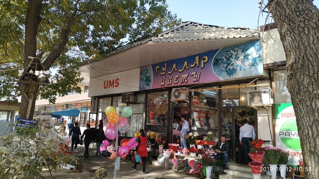 Çiçekçiler Power tools store Flower, Taşkent, foto