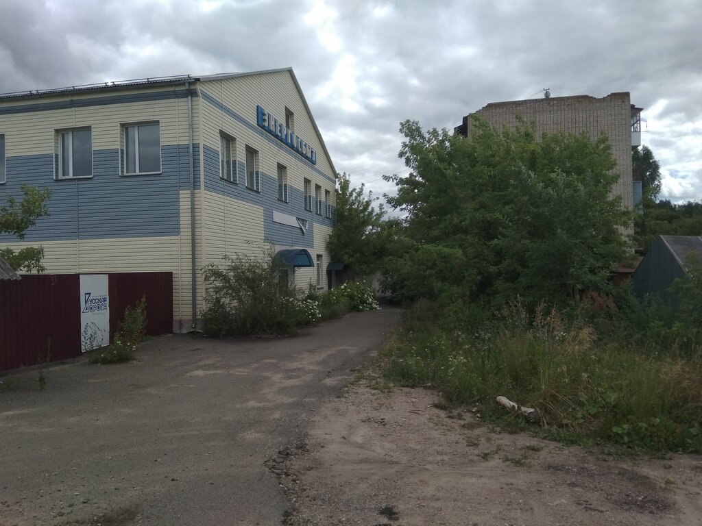 Enerji firmaları Энергосбыт, Roslavl, foto