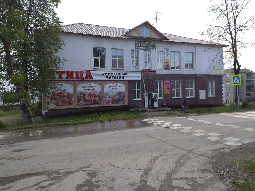 Petshop Зоотовары, Gornozavodsk, foto