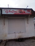 Vitta (ulitsa Lenina No:214А), çiçekçiler  Goriaçi Kliuç'tan