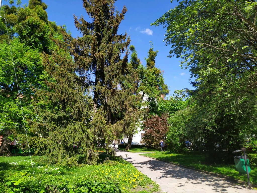 Kültür ve eğlence parkları сквер писателя Ю. Иванова, Kaliningrad, foto