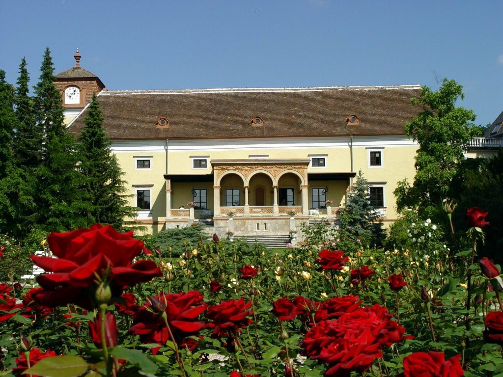 Otel Hotel Schloss Weikersdorf, Baden, foto
