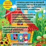 Td Family (ulitsa Gorkogo No:20, posyolok gorodskogo tipa Tuzha), bahçecilik mağazaları  Kirovskaya oblastından