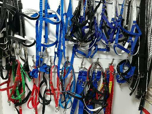 Veteriner eczaneleri Central Veterinary Pharmacy, Karağandı eyaleti, foto