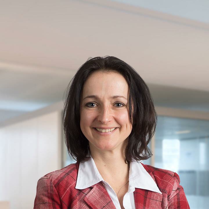 Sigorta şirketleri Signal Iduna Versicherung Bezirksdirektion Sinn und Partner, Dresden, foto