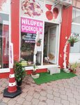 Atça Nilüfer Çiçekçilik (Atça Mah., Sultanhisar, Aydın), çiçekçiler  Sultanhisar'dan