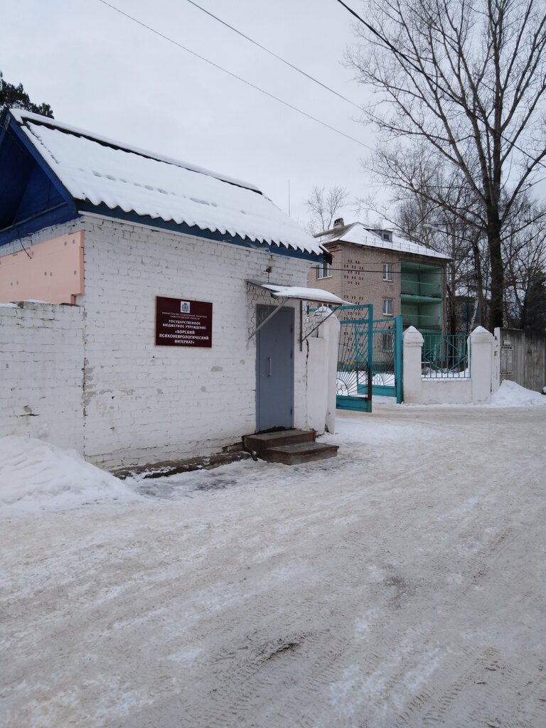 Ruh ve sinir hastalıkları hastaneleri Gbu Borsky psikhonevrologichesky internat, Bor, foto