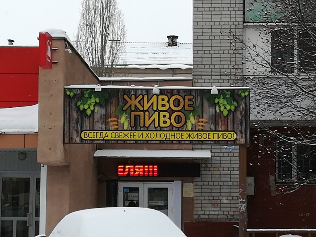 Bira dükkanı Magazin Zhivoye Pivo, Voronej, foto