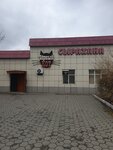 The Black Cat (Anton Çekhov street No:123/1), bar  Semey'den