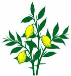 Greendekor.ru (Komsomolskiy Avenue No:32, Moscow), çiçekçiler  Moskova'dan