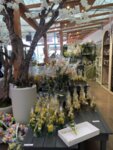 Verdevivo Garden (Friuli-Venezia Giulia, Udine, Via dei Boschi, 1), sera ve bahçe ürünleri  Friuli‑Venezia Giulia'dan