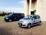Agenzia Funebre Pazzetta (Lazio, Roma, Via di Vermicino, 76), çiçek teslimatı  Lazio'dan