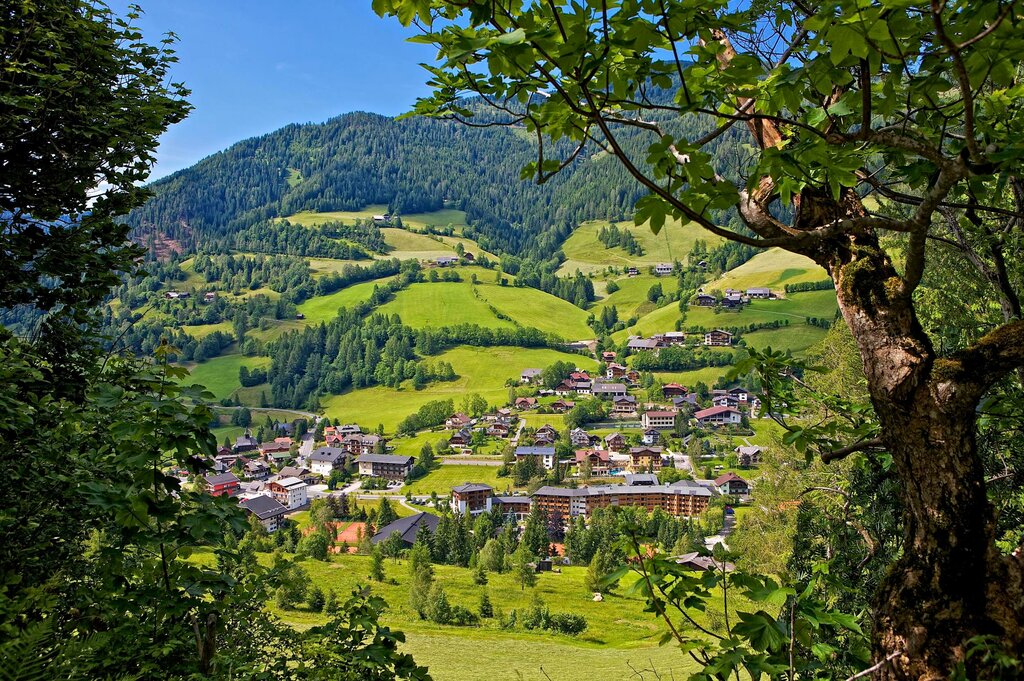 Emlak ofisi Appartementvermittlung Reichl, Karintiya, foto