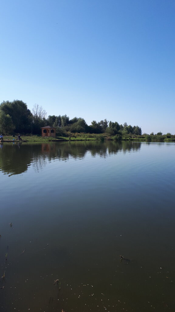Balık çiftçiliği ve toptancıları Мечта рыбака, Kurskaya oblastı, foto