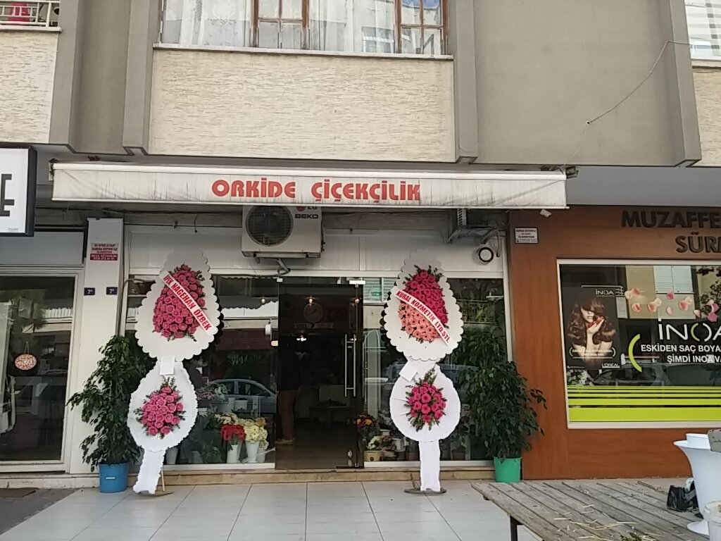 Çiçekçiler Orkide Çiçekçilik, Mersin, foto