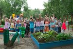Kindergarten № 238 (Mezhdunarodnaya ulitsa No:26Б, Saratov), anaokulları  Saratov'dan