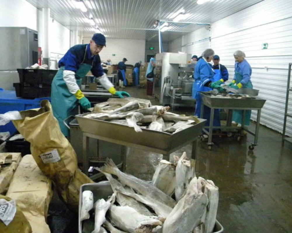 Balık ve deniz ürünleri Arion, Tomsk, foto