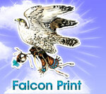 Falcon Print (Mira Street No:3), matbaalar  Saint‑Petersburg'dan