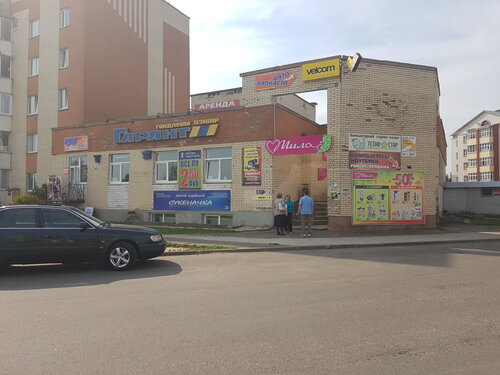 Alışveriş merkezleri Торговый центр Гарант, Myadel, foto
