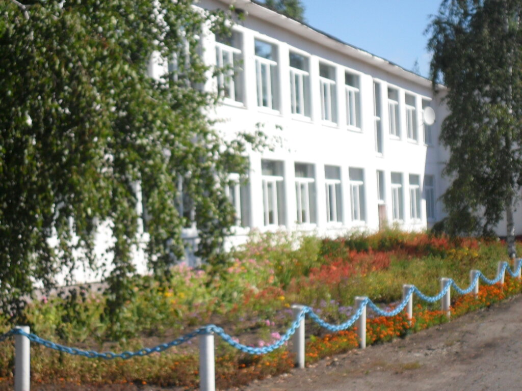 Ortaokul Петровобудская основная общеобразовательная школа, Brianskaya oblastı, foto