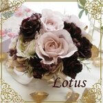 Lotus (つくば市, 花畑２丁目１２−２), çiçek teslimatı