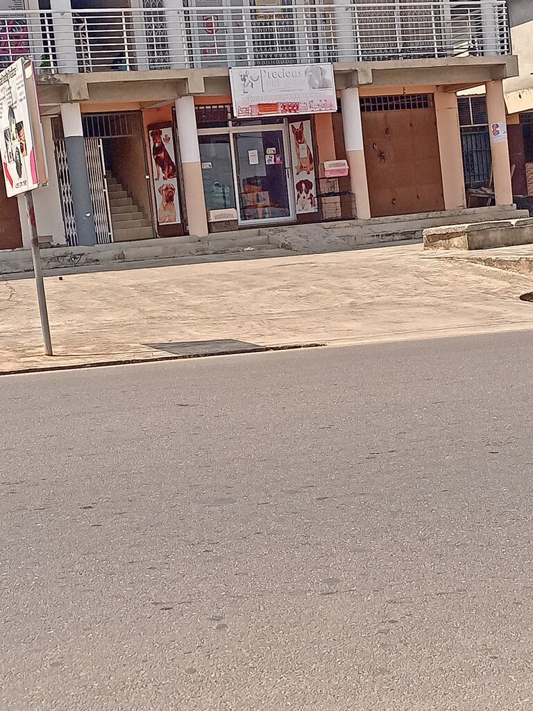 Petshop Precious pet shop, Dünya, foto