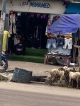 Ets mohamed (Brazzaville, Commune de Ouenzé, Rue Linzolo), avukatlar  Brazzaville'den