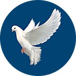 Россита (Sovetskaya Street No:58к2, Irkutsk), kuru temizlemeciler  Irkutsk'tan