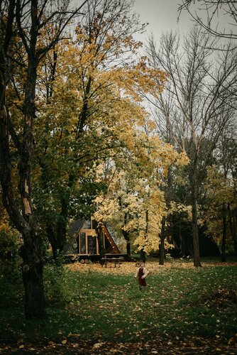 Glamping Just a forest, Rostovskaya oblastı, foto