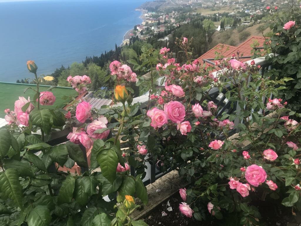 Otel Домик у моря, Kırım Cumhuriyeti, foto