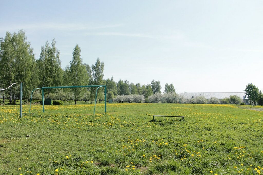 Spor alanı Футбольное поле, Smolenskaya oblastı, foto