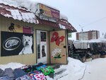 Катарина (Murmansk Region, Apatity, ulitsa Bredova), petshop  Apatity'den