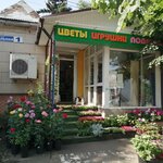Podari (Vokzalnaya Street No:1Б, District of Rastorguevo), çiçekçiler  Vidnoye'den