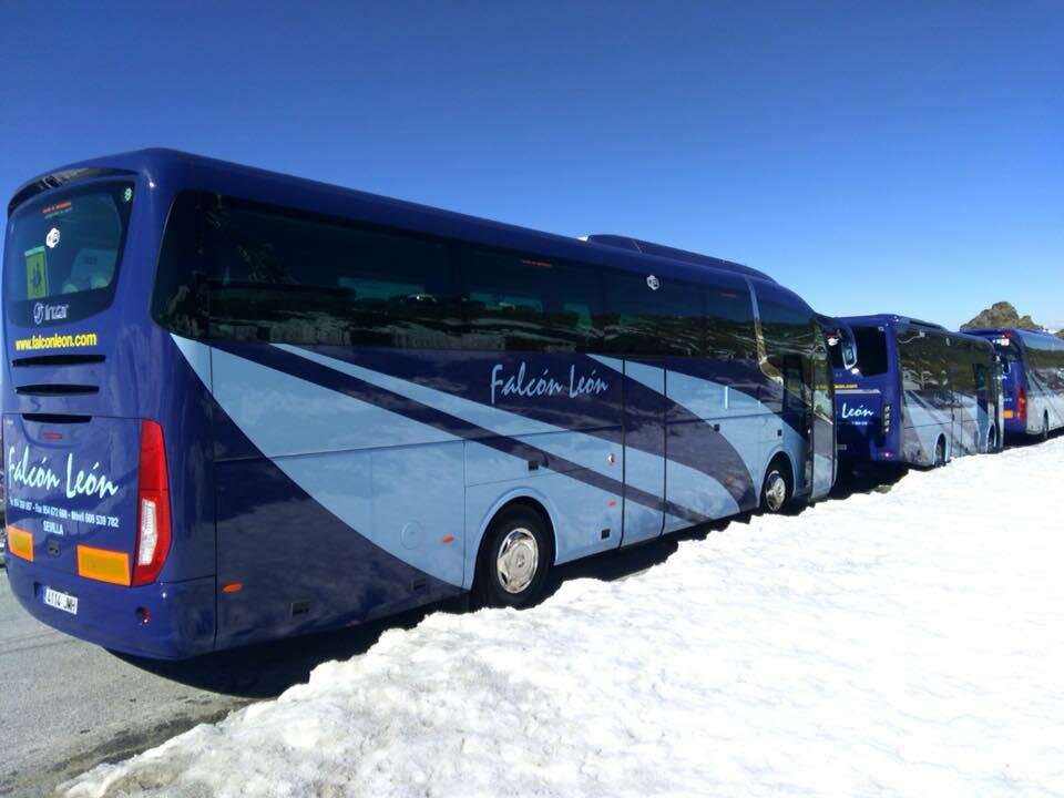 Otobüs taşımacılığı Autocares Falcón León, Sevilla, foto