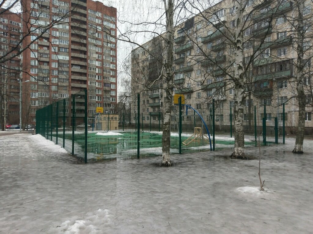 Spor alanı Sports ground, Saint‑Petersburg, foto