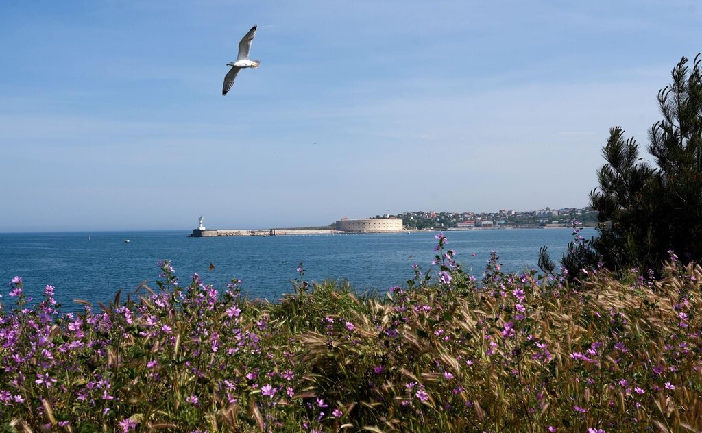 Yat kulüpleri B&b sailing school, Sevastopol, foto