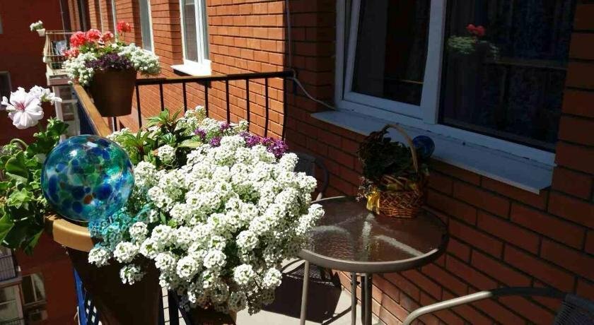 Kısa süreli konaklama Apartment Book 19, Odesa, foto