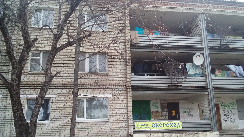 Ayakkabı tamiri Скороход, Zeya, foto