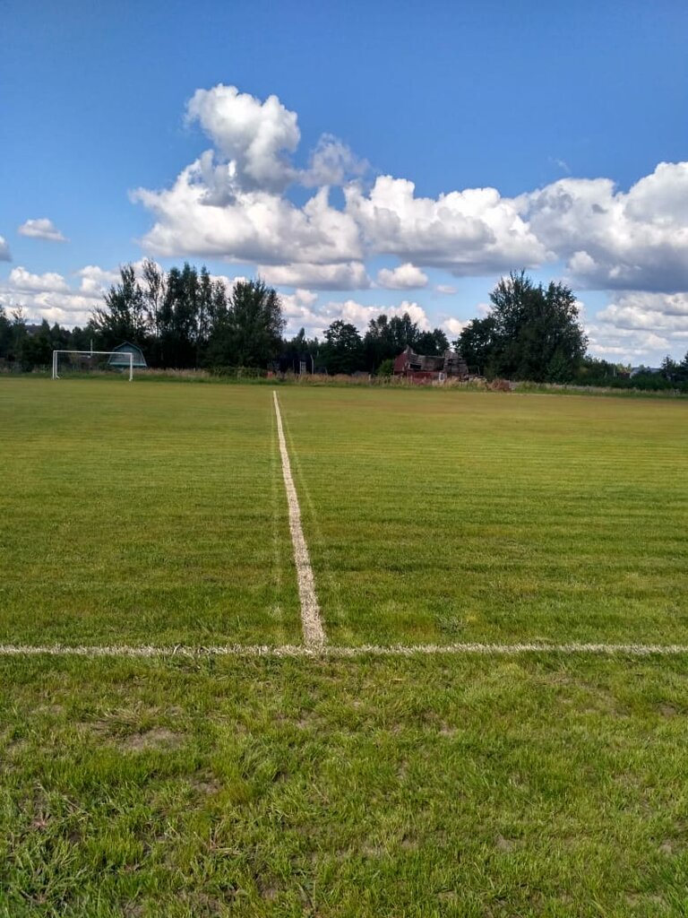 Spor alanı Футбольное поле, Moskova ve Moskovskaya oblastı, foto