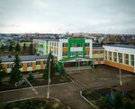 Елховская средняя общеобразовательная школа (Sovetskaya ulitsa No:61, selo Yelkhovo), ortaokul  Tataristan'dan