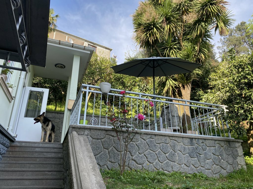 Otel U Botanicheskogo Sada Guest house, Batum, foto
