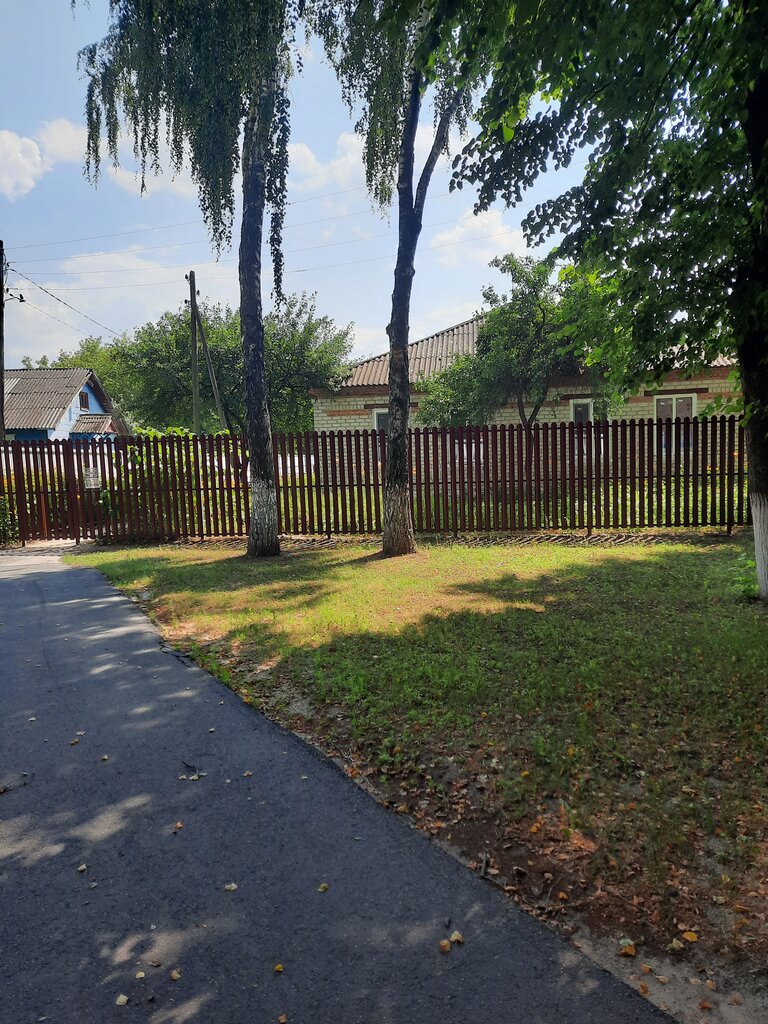 Anaokulları Детский сад, Kurskaya oblastı, foto