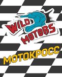Wild motors (Moskovskiy Avenue No:112А), kiralama noktası  Yaroslavl'dan