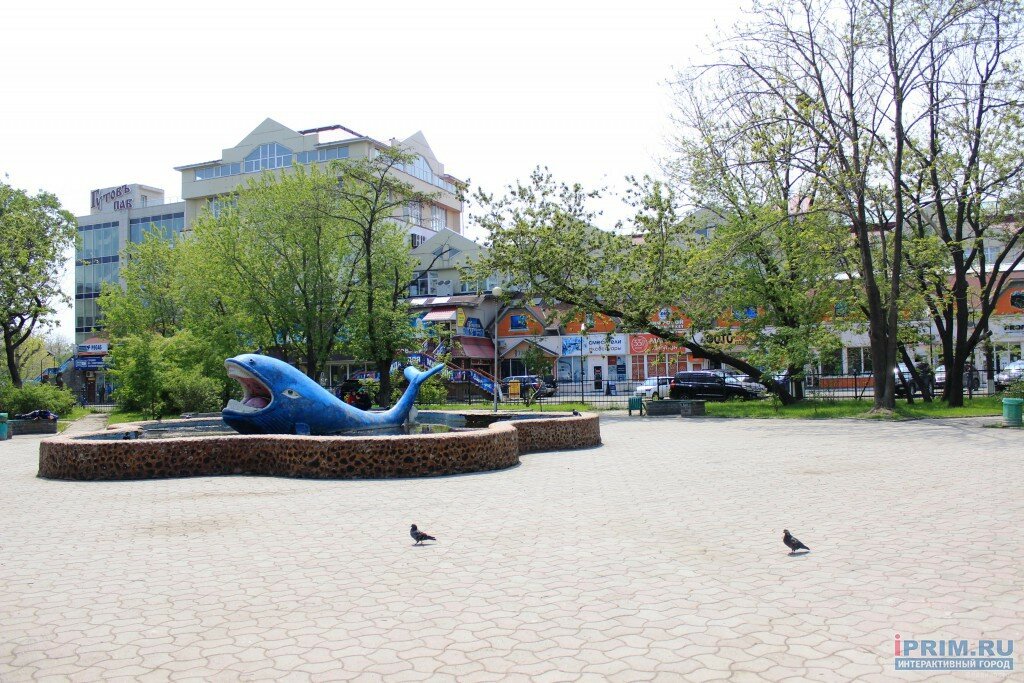Pasta, şekerleme ve tatlı Vishnevy sad, Vladivostok, foto