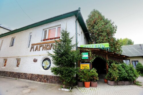 Otel Отель Магнолия, Kolomya, foto
