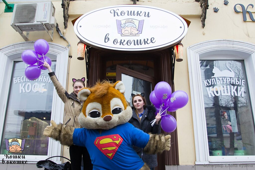 Kahve dükkanları Murkafe Koshki v okoshke, Tula, foto