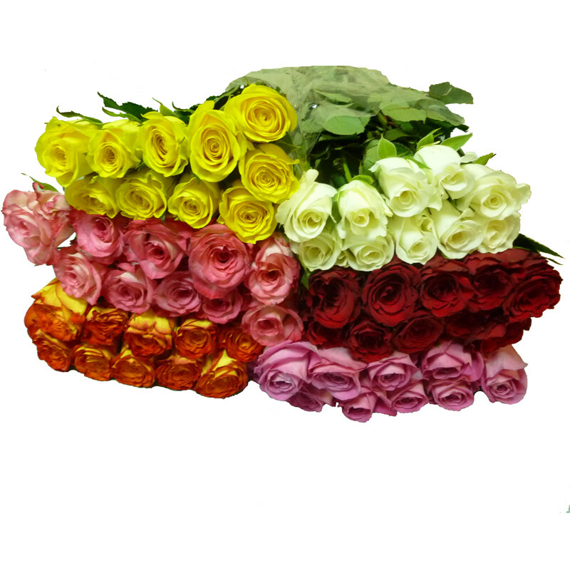 Market 5 Цветов, Arzamas, foto